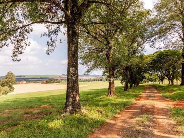 Fazenda