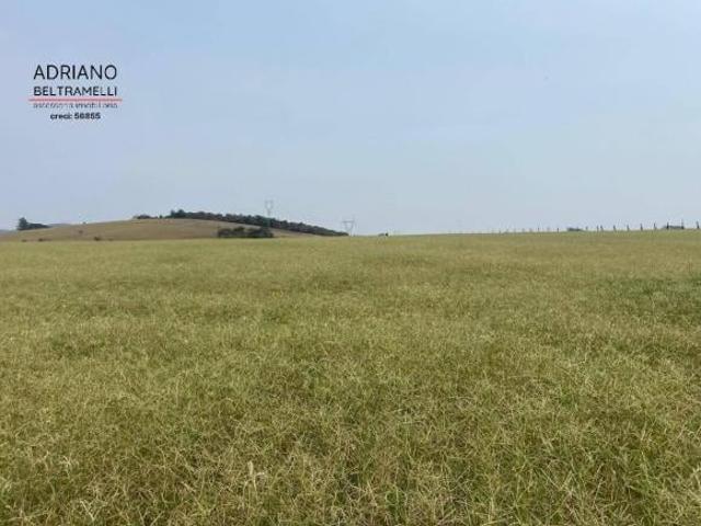Fazenda para venda em Centro, Tuiuti