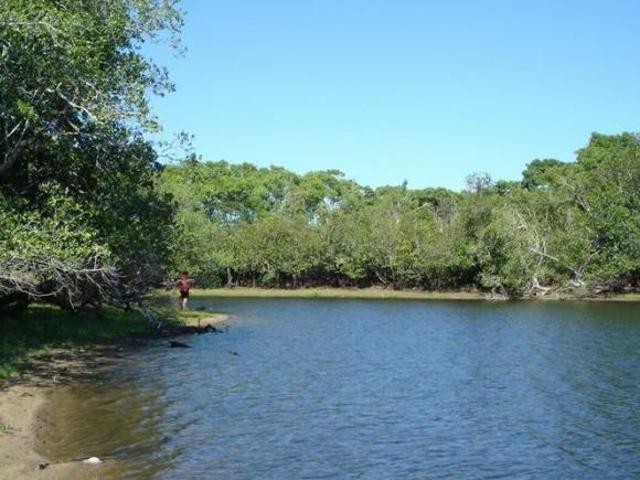 Fazenda