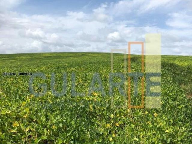 Fazenda