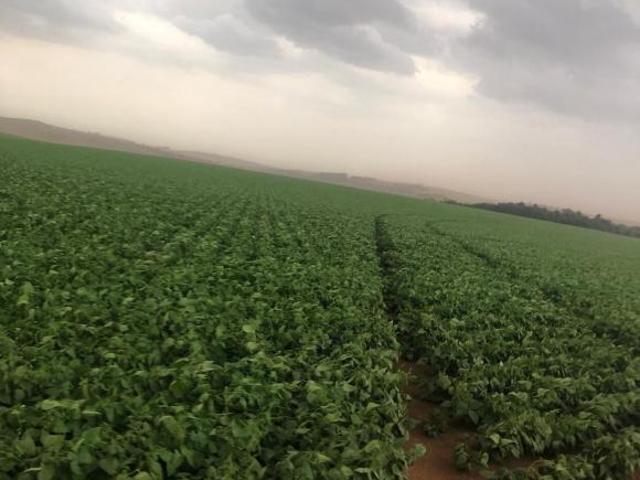 Fazenda