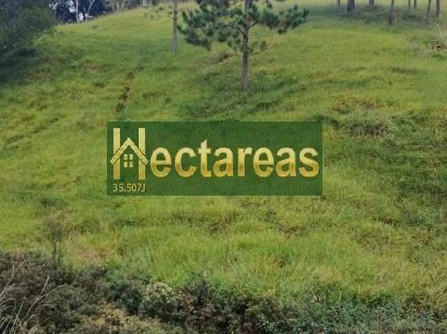 Fazenda