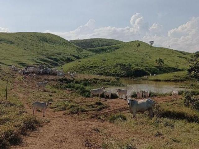 Fazenda