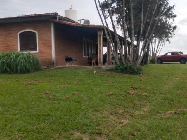 Fazenda 81,5 Alqueires, 56 Alqueires em Cana, Usina Grupo Zambianco 40 Toneladas 10 Alqueires em Grã