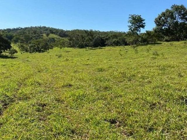 Fazenda