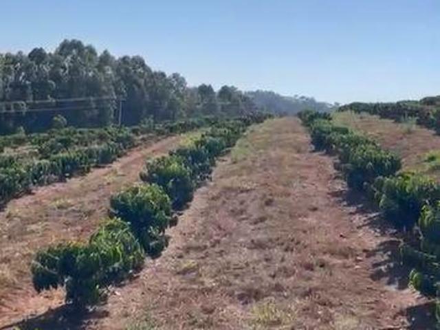 Fazenda