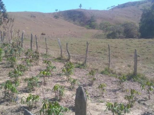 Fazenda