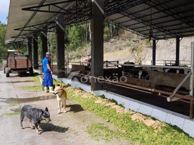 Fazenda