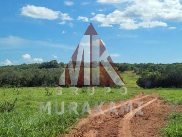 Fazenda
