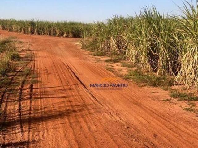 Fazenda
