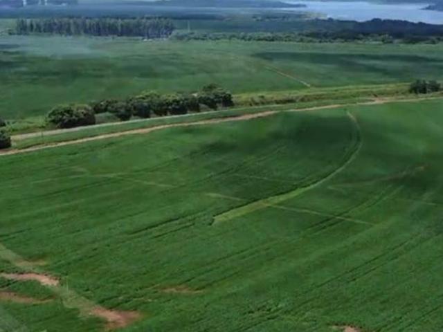 Fazenda