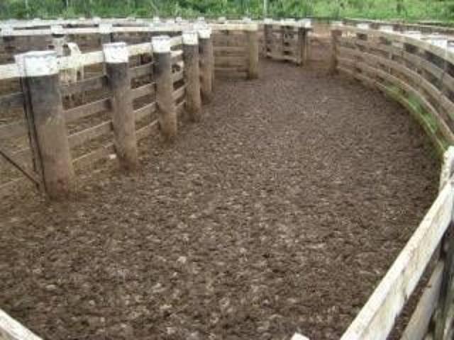 Fazenda