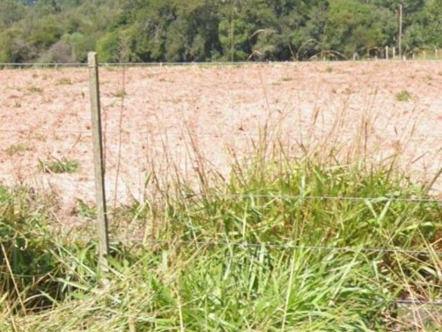 fazenda 96 hectares plantação / criação