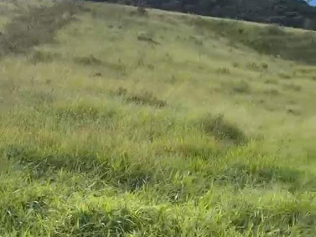 Fazenda para venda em Centro, Carmo de Minas