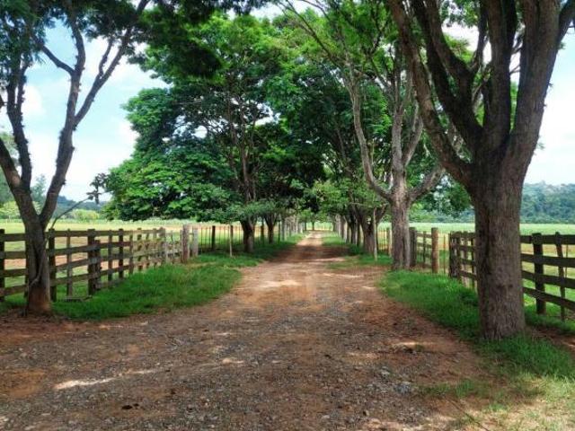 Fazenda