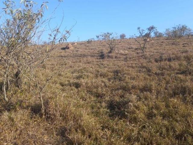 Fazenda