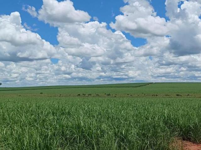 Fazenda