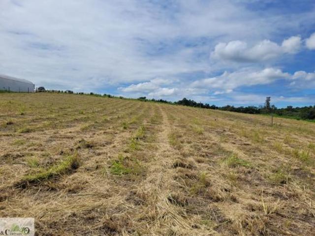 Fazenda