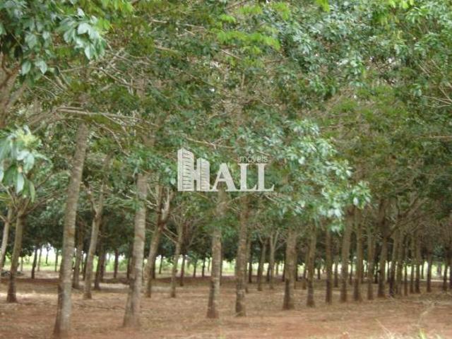 Fazenda