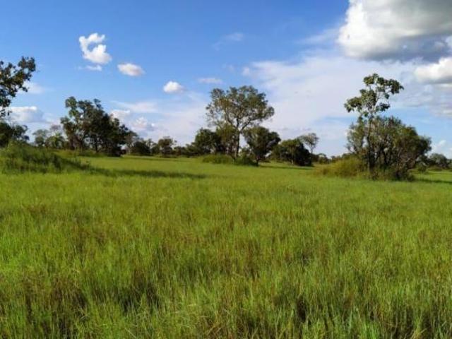 Fazenda