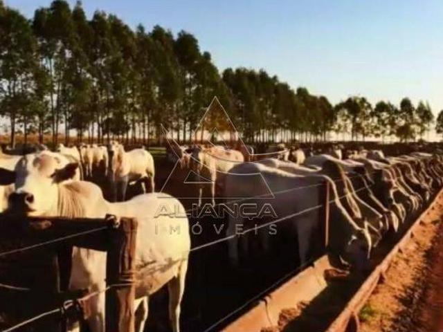 Fazenda
