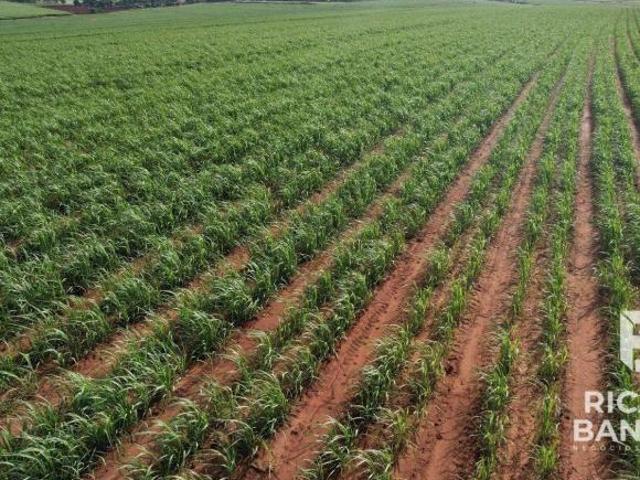 Fazenda