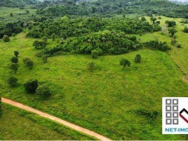 Fazenda