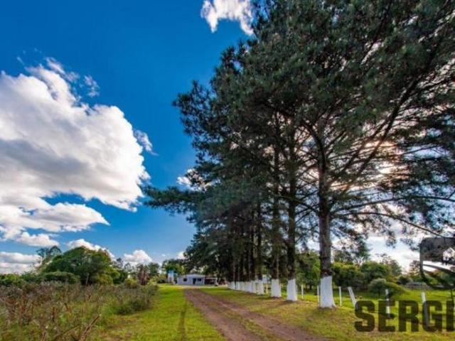 FAZENDA 93,5 HÁ COM CASA GRANDE, GALPÃO, MANGUEIRA E PIQUETES E RIO AO FUNDO EM TRIUNFO RS