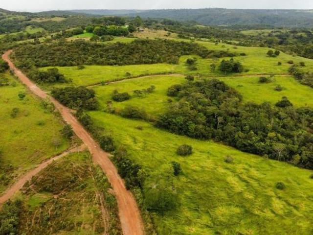Fazenda 9 alqueires as margens da Corumbá 3 a 32 km de Luziânia, 9km de chão