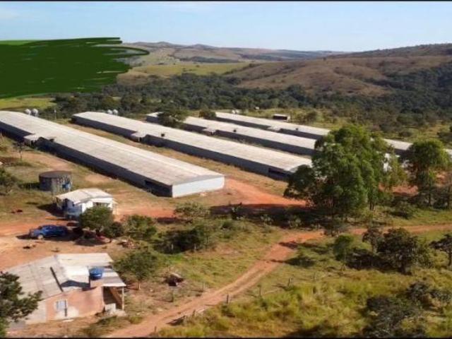 Fazenda/Granja