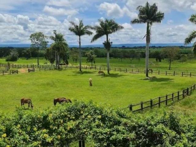 Fazenda/haras 532 hectares em Pirapora/MG