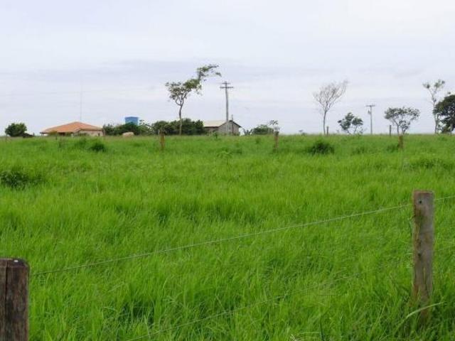 FAZENDANARANDIBA