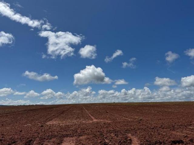FAZENDAS vizinha a Brasília DF, com 1.500 hectares colada em Luziânia GO