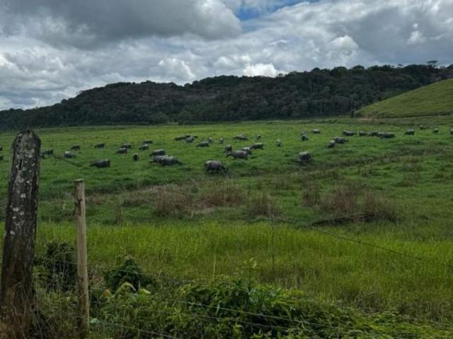 Fazendas em Registro São Paulo