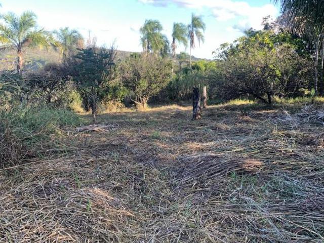 FAZENDA/SÍTIO COM DOIS CÓRREGOS PERENES EM CEILÂNDIA/DF