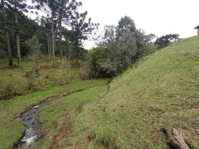 Fazenda/Sítio com 1 Quarto à Venda, 42000 m² por R$ 659.000