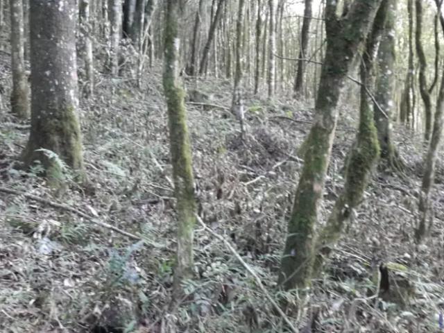 Fazenda/Sítio com 1 Quarto e 1 banheiro à Venda, 15000 m² por R$ 160.000