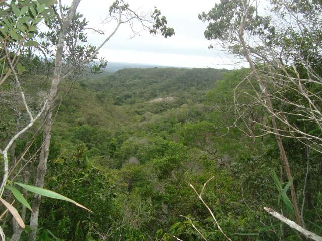 Fazenda/Sítio com 1 Quarto e 1 banheiro à Venda, 1350 m² por R$ 4.000.000