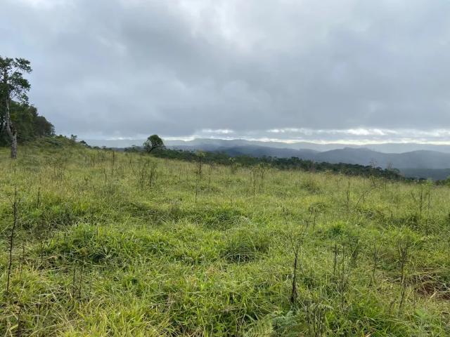 Fazenda/Sítio com 1 Quarto e 1 banheiro à Venda, 1 m² por R$ 4.000.000