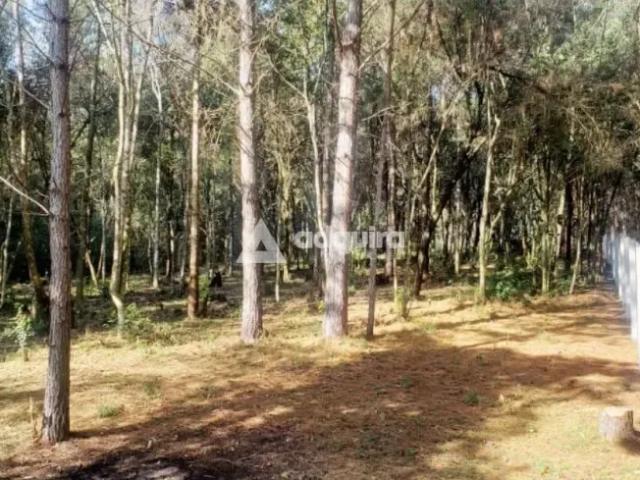 Fazenda/Sítio com 1 Quarto e 1 banheiro à Venda, 2500 m² por R$ 200.000