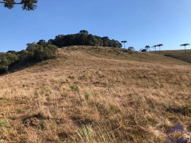 Fazenda/Sítio com 1 Quarto e 1 banheiro à Venda, 20000 m² por R$ 150.000