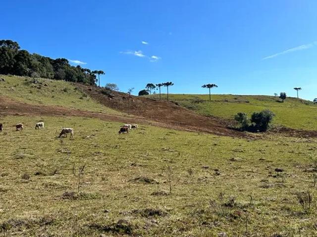 Fazenda/Sítio com 1 Quarto e 1 banheiro à Venda, 20000 m² por R$ 150.000