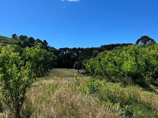 Fazenda/Sítio com 1 Quarto e 1 banheiro à Venda, 20000 m² por R$ 150.000