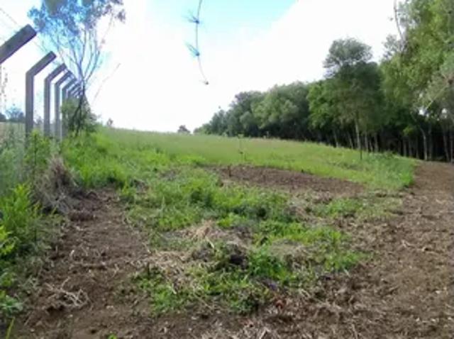 Fazenda/Sítio com 1 Quarto e 1 banheiro à Venda, 7500 m² por R$ 350.000