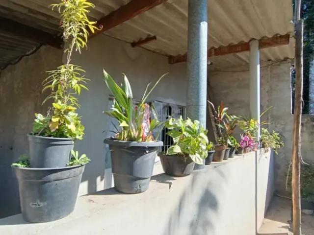 Fazenda/Sítio com 2 Quartos e 1 banheiro à Venda, 500 m² por R$ 110.000