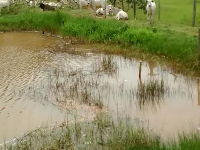 Fazenda/Sítio com 2 Quartos e 1 banheiro à Venda, 1000000 m² por R$ 4.200.000