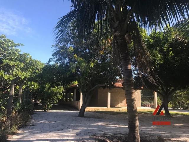 Fazenda/Sítio com 2 Quartos e 2 banheiros à Venda, 1500 m² por R$ 150.000