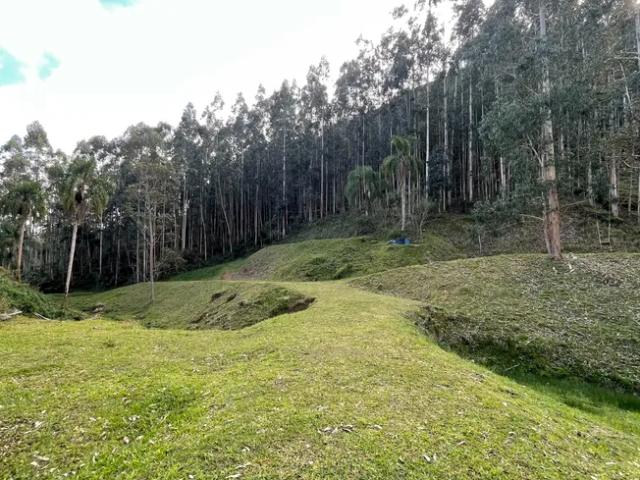 Fazenda/Sítio com 3 Quartos e 1 banheiro à Venda, 11157 m² por R$ 280.000