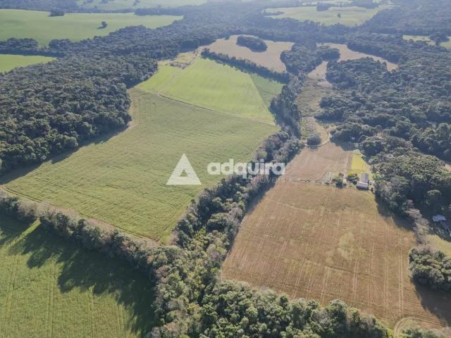 Fazenda/Sítio com 3 Quartos e 1 banheiro à Venda, 240 m² por R$ 6.000.000