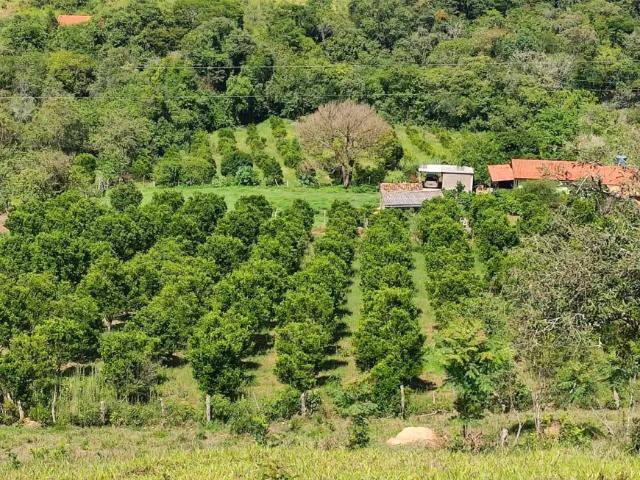 Fazenda/Sítio com 3 Quartos e 1 banheiro à Venda, 37000 m² por R$ 370.000